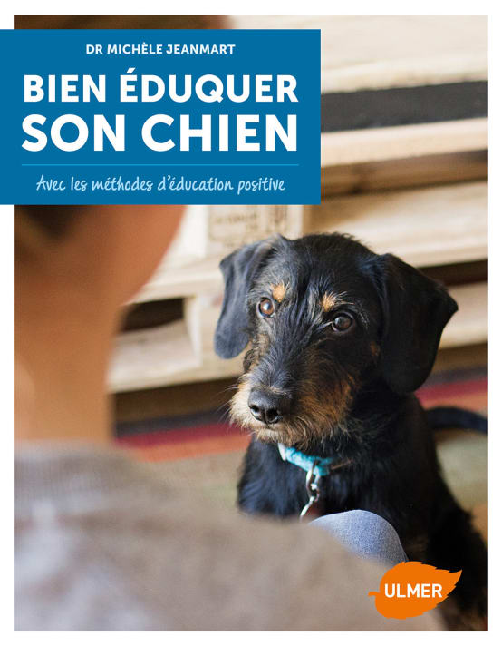 Bien éduquer son chien - Gamm vert