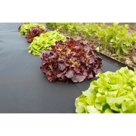 MICROTEX Paillage micro alvéolé résistant noir 1,40x5m - Gamm vert