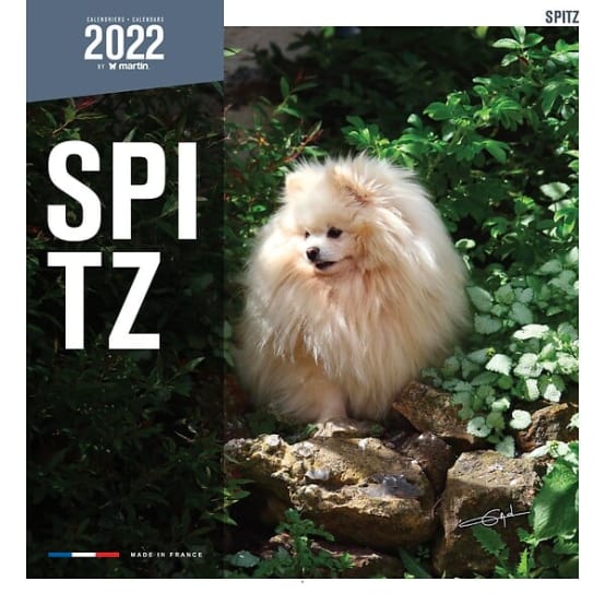 Calendrier Spitz - MARTIN - Gamm vert