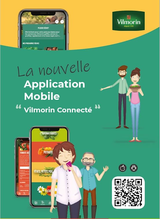 Haricot Melissa à cosse violette création série 20m sachet graines 120 ...