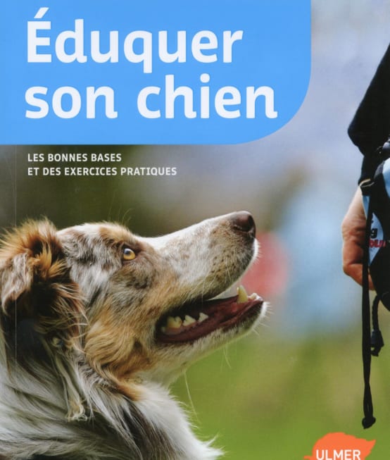 Eduquer son chien - Gamm vert Eduquer son chien - Gamm vert