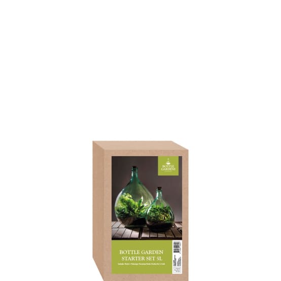 Kit De Démarrage Plante En Terrarium - ESSCHERT DESIGN - Gamm vert