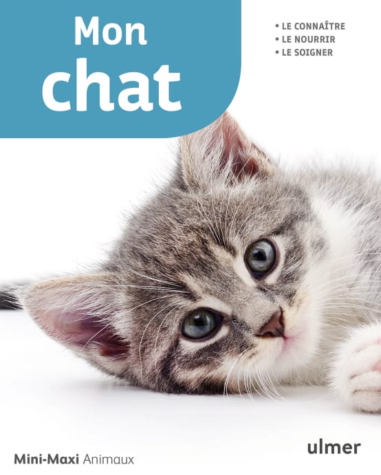 Mon chat - Gamm vert