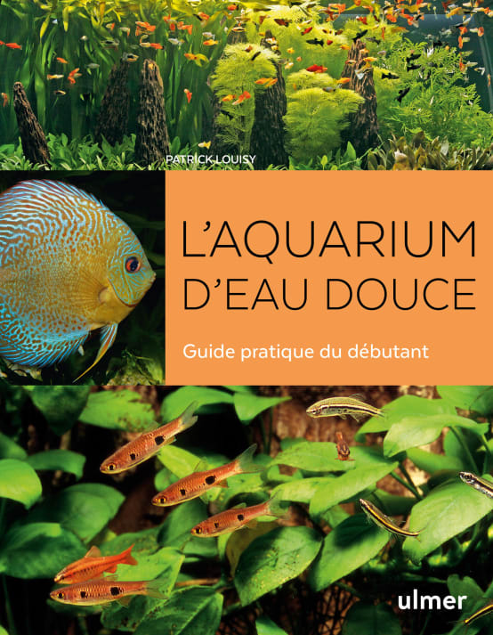 L'aquarium d'eau douce - Gamm vert