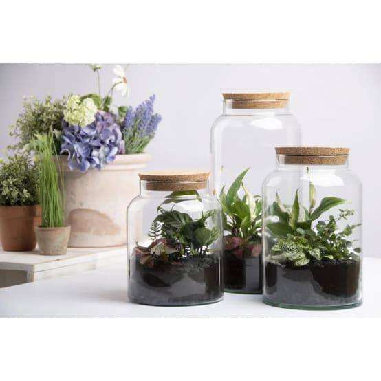 Bouteille Terrarium Verre Recyclé Transparent 10 l H 41,3 cm – ESSCHERT ...