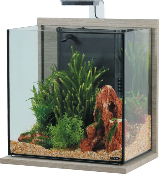 Aquarium Idro 40 Zebrano - ZOLUX - Gamm vert