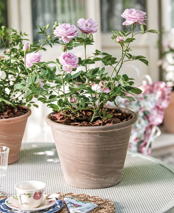 Pot en Terre Cuite - DEROMA - Gamm vert