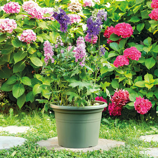 Deroma - Pot Cilindro Day R Verde D.20 x H.14,2cm - Gamm vert