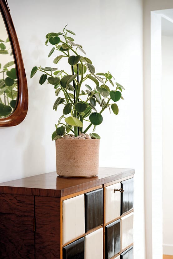 Deroma - Pot Pot Cilindro Luna D.15 x H.12,2cm - Gamm vert