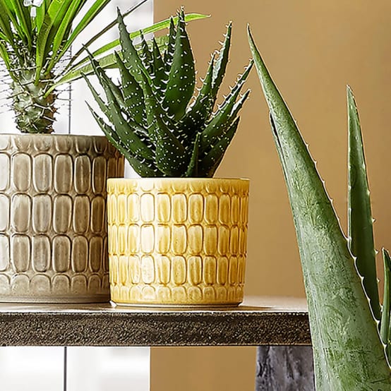 Cache-Pot SCHEURICH - Gamm vert