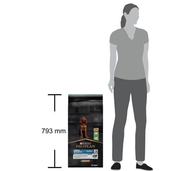 Croquettes chiot Large Digestion Difficile Agneau 12 kg - PRO PLAN ...