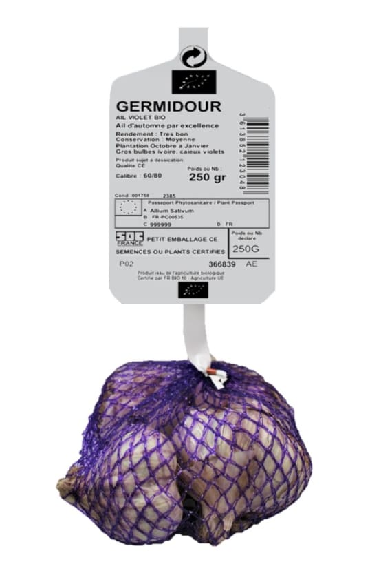 Bulbes Ail violet Bio Germidour 60+ filet 250 g - Gamm vert