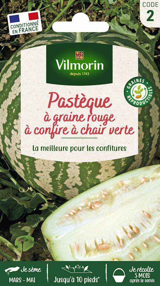 Pastèque à graine rouge à confire série 2 sachet graines 2,5 g ...