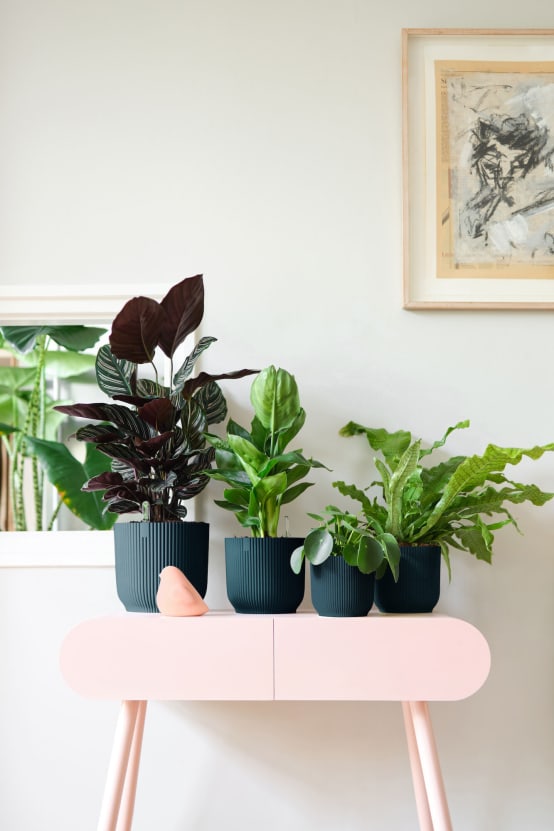 Pot Rond Vibes Fold - ELHO - Gamm vert