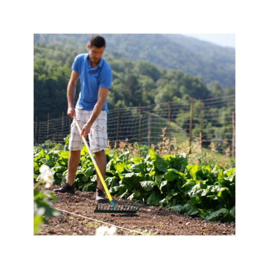 Râteau Duopro 14 dents courbes sans manche – LEBORGNE - Gamm vert