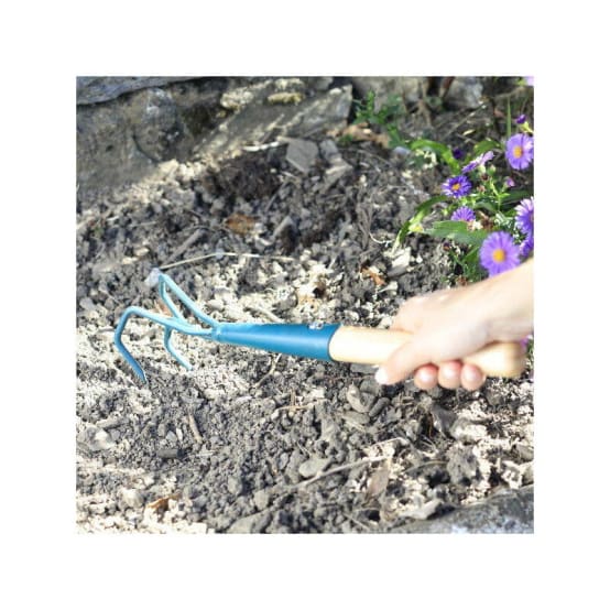 Griffe de Jardin à Main Bois Verni 3 Dents L 30 cm l 6 cm – LEBORGNE ...