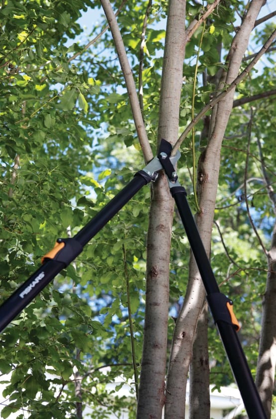 Coupe-branches telescopique - FISKARS - Gamm vert