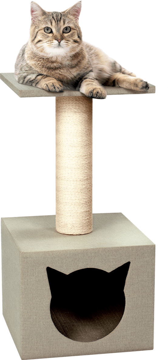 Pure Family - Arbre à chat CIRCUS - Gamm vert