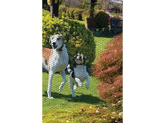 GALVANEX PLAST 13 Grillage métal plastififé triple torsion 1x5m - Gamm vert