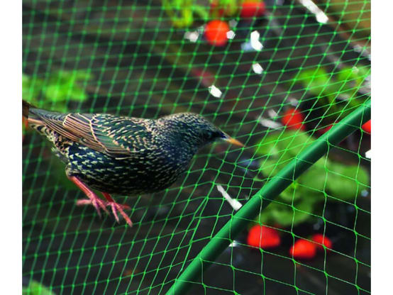 BIRDNET Filet de protection oiseaux PE vert 4x6m - Gamm vert