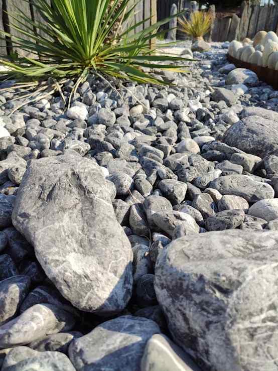 FILET 20KG ROULE MARBELLA VEINE 15/25 - Gamm vert