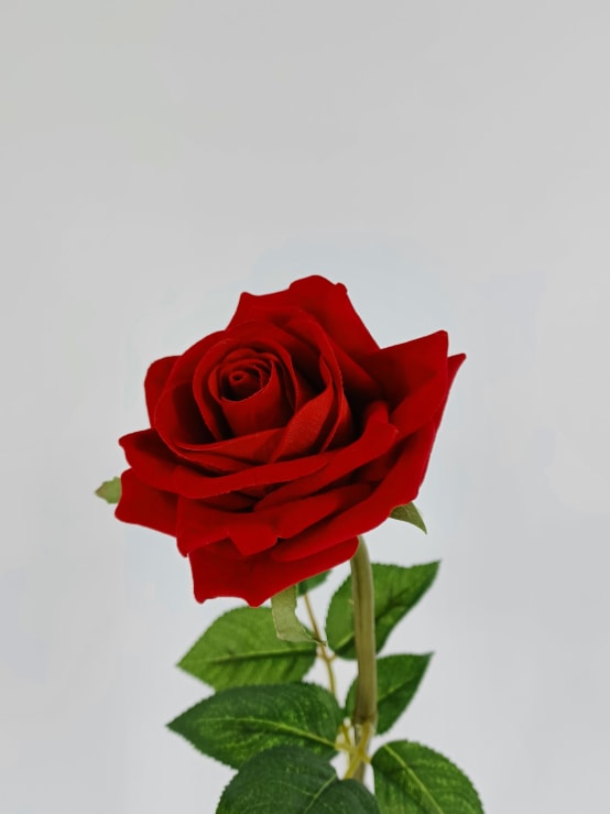 Tige rose ouverte velours rouge artificielle 58 cm - Gamm vert