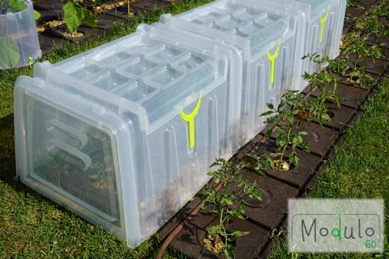 Kit de 3 mini-serre tunnel de forçage MODULO 60 L. 79 x l. 59 H. 50 cm ...