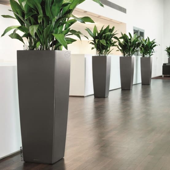 Pot Lechuza Cubico alto Premium L40 H105 cm anthracite métallisé - Gamm ...