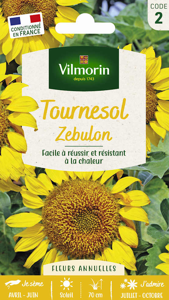 Tournesol Zebulon Pollen Free série 2 sachet graines 1 g - Vilmorin ...