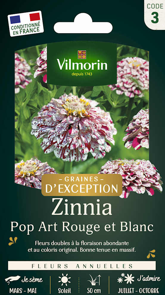Zinnia Pop Art rouge et blanc serie 3 sachet graines 1 g - Vilmorin ...