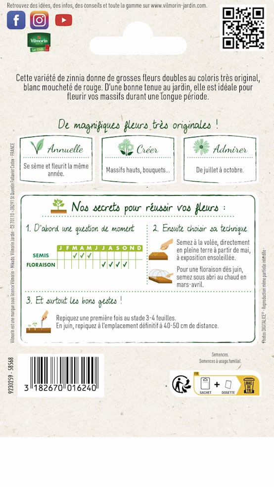 Zinnia Pop Art rouge et blanc serie 3 sachet graines 1 g - Vilmorin ...