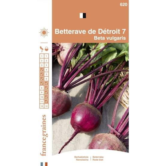 Betterave potagère de Détroit améliorée 7 serie 1 sachet graines 4 g ...