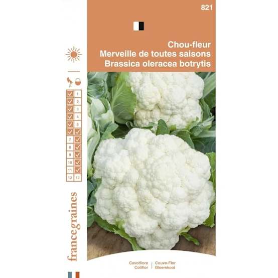 Chou fleur merveille des 4 saisons serie 1 sachet graines 1 g - France ...