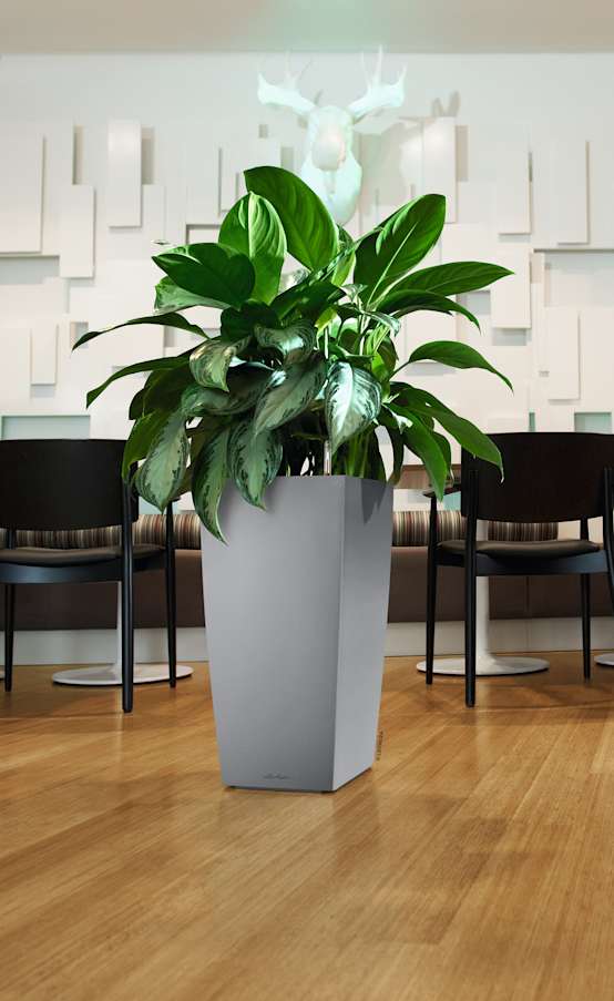 Cubico Premium 40 - kit complet, argent métallisé Lechuza - Gamm vert