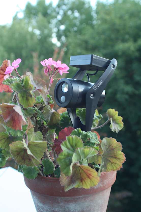 Spot à planter alu noir avec détecteur 250 lumens - ECLOZ - Gamm vert