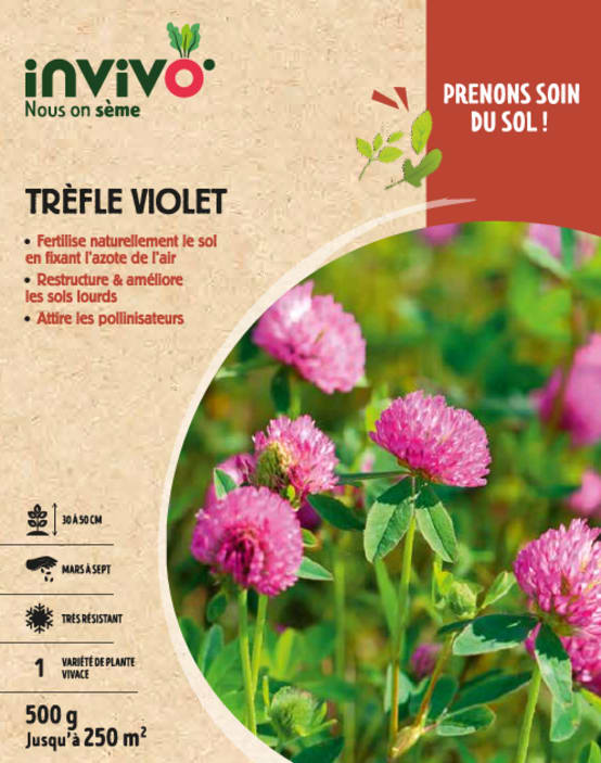 Semences de trèfle violet 500 g - INVIVO Nous on sème - Gamm vert