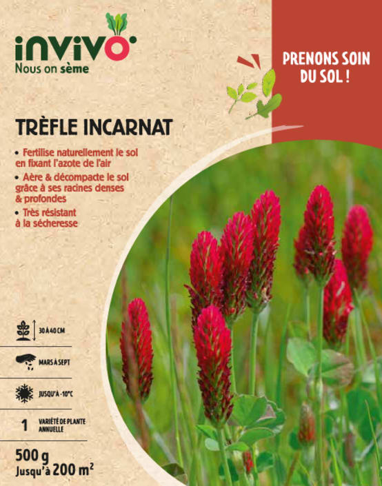 Semences de trèfle incarnat 500 g - INVIVO Nous on sème - Gamm vert