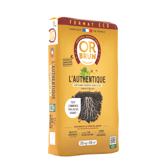 L'AUTHENTIQUE OR BRUN 25KG - Gamm vert