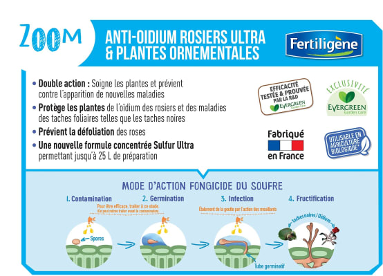 Anti-maladies Rosiers Ultra UAB fongicide soufre liquide concentré 500 ...
