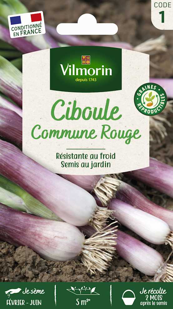 Ciboule Commune Rouge série 1 sachet graines 1 g - Vilmorin - Gamm vert