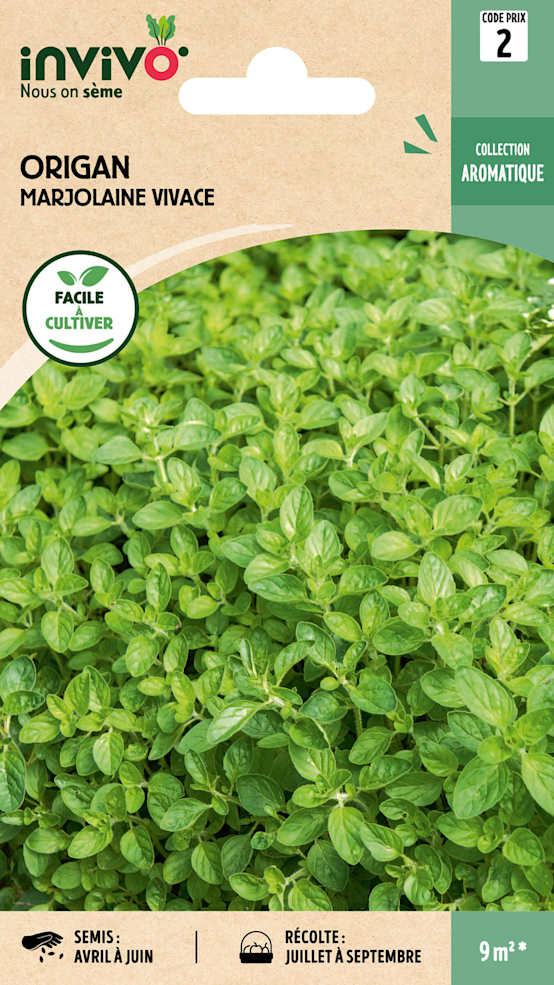 Origan Marjolaine vivace graines sachet 1 g - INVIVO Nous on sème - Gamm vert