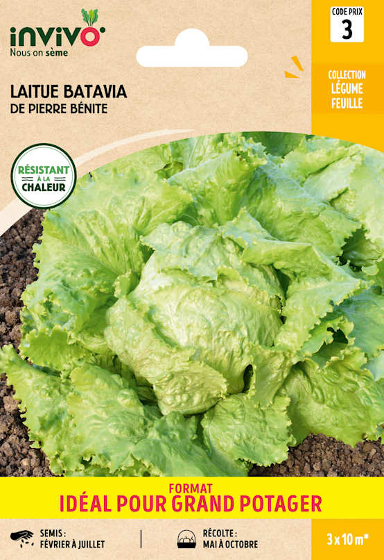 Laitue Batavia de Pierre Bénite sachet de 10g grand modèle - Série 3 ...