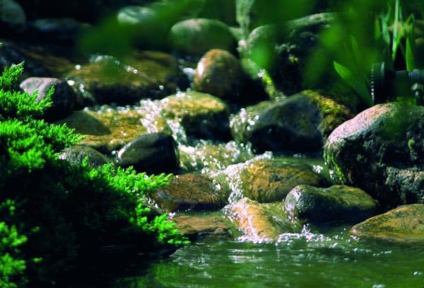 Bassin de jardin - Gamm vert