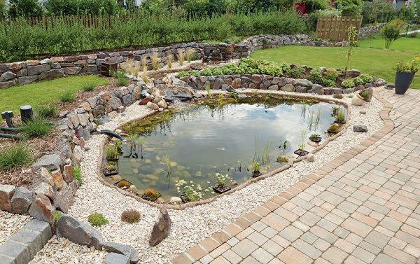 Bassin de jardin - Gamm vert