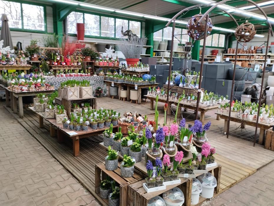 Gammvert Saint-Chamond - Jardinerie et animalerie