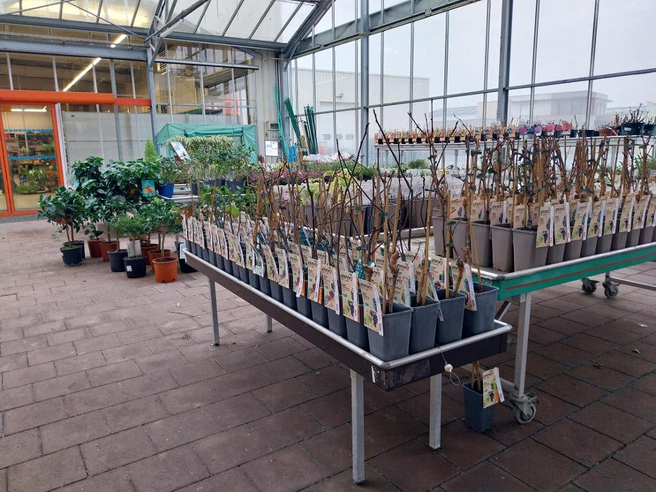 Gammvert Vallet - Jardinerie et animalerie